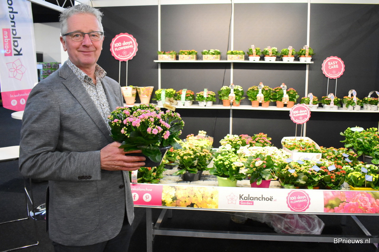 Trade Fair Rijswijk 2024