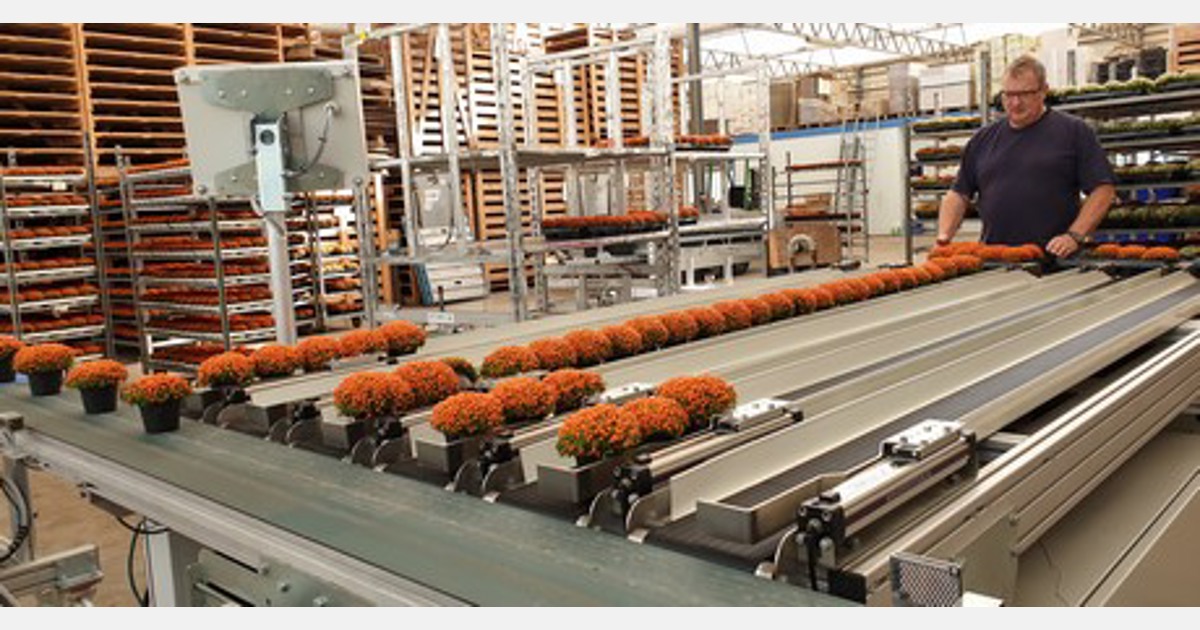 Kwekerij Kooij Nertera investeert in automatisering interne logistiek