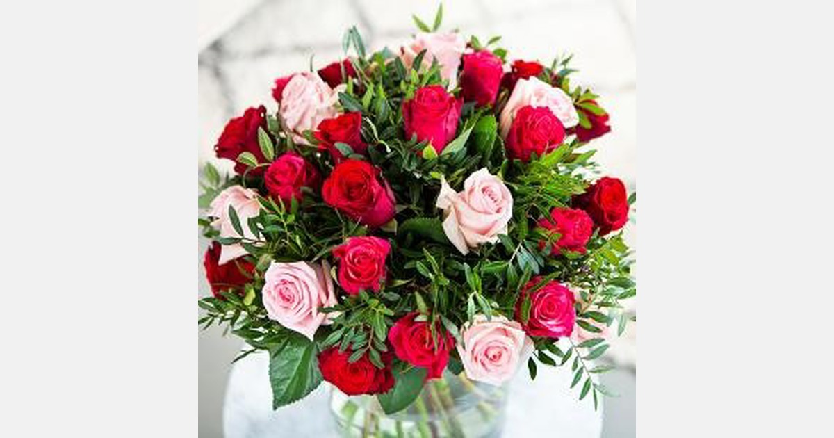 Hoe voorkom je Botrytis bij rozen?