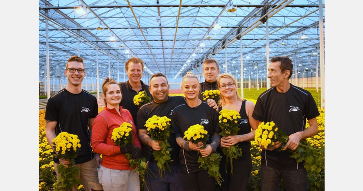 "Wij de breeding, zij het design"