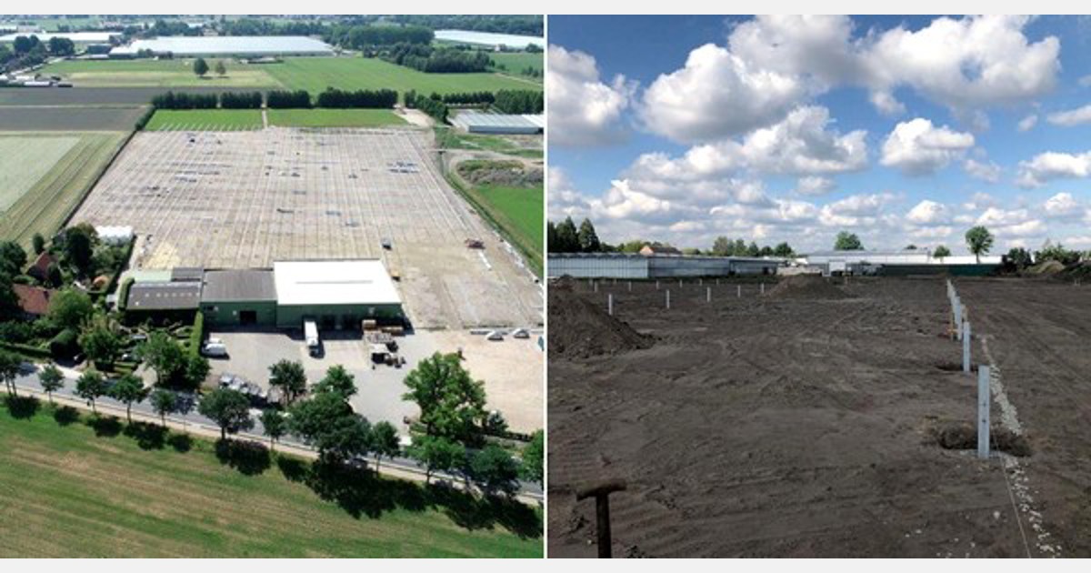 Oprins Plant bouwt 2,5 hectare kas voor productie hydrangea, ilex en ...