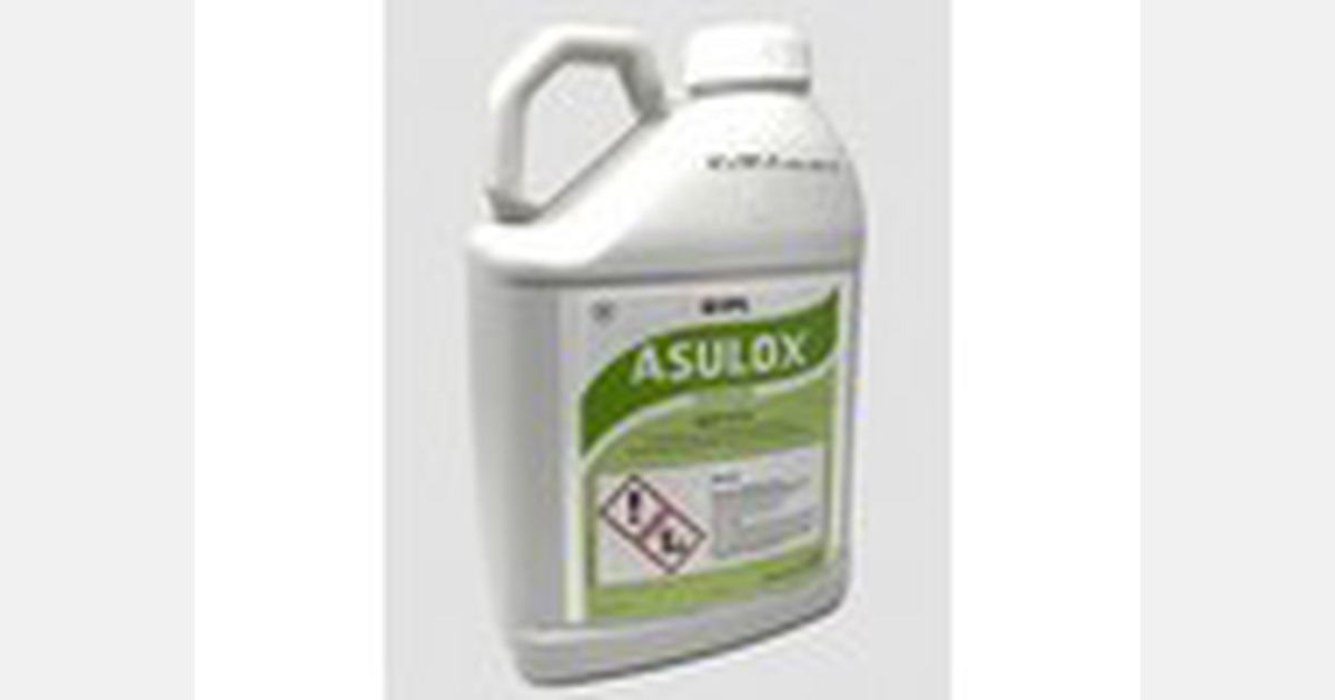 Vrijstelling herbicide asulam 2021 in spinazie- en bloemenzaadteelt