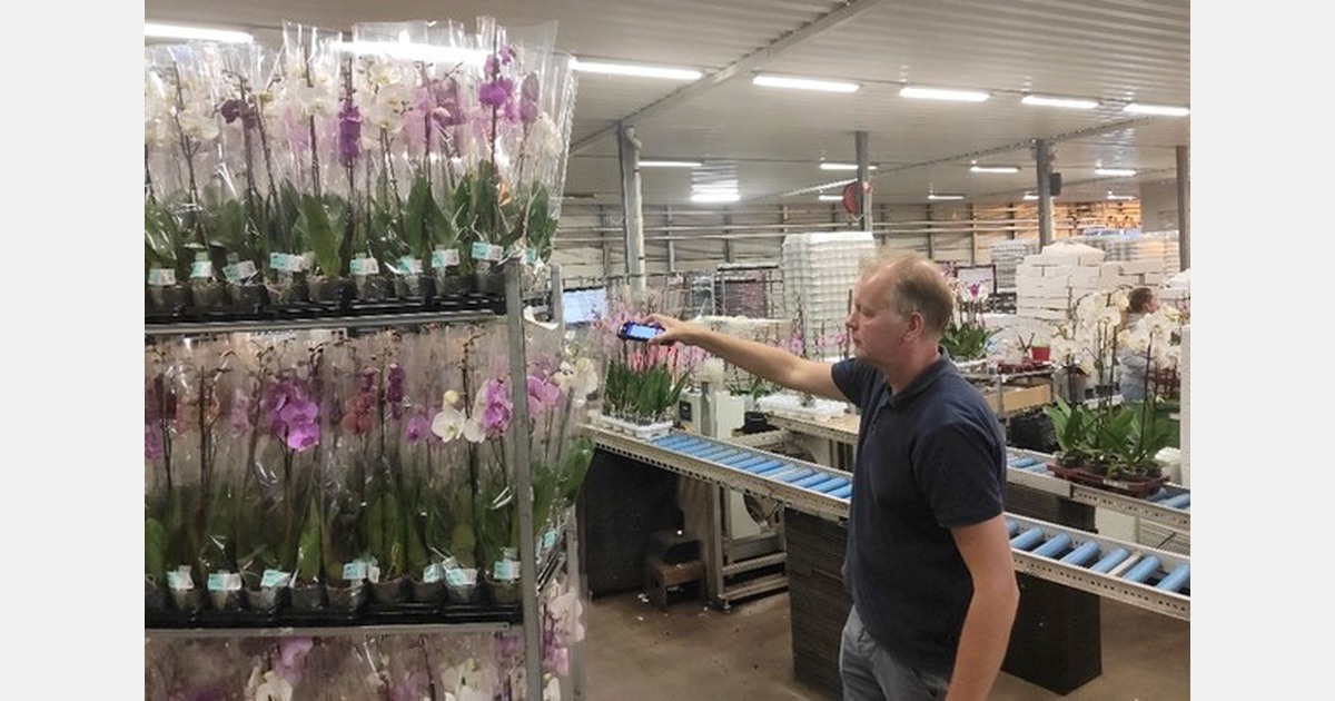 Android scanners van Codema tillen orderverwerking bij Wooning Orchids ...