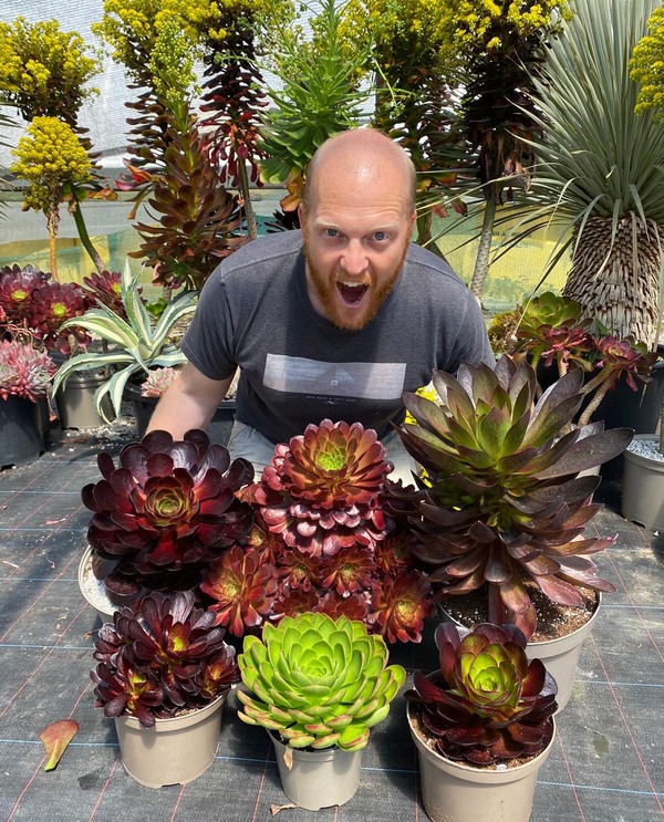 Het wonderlijke verhaal van de "Surreal Succulent" Semponium