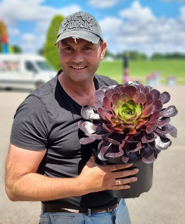 Het wonderlijke verhaal van de "Surreal Succulent" Semponium