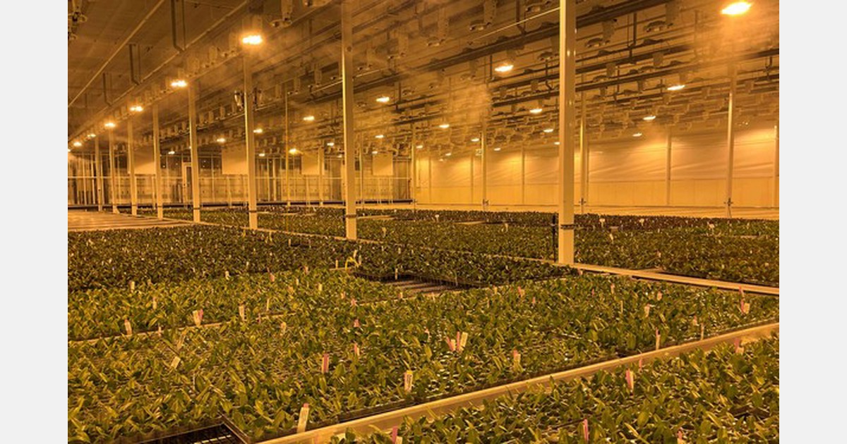 Sion start met nieuwe productielocatie in Edmonton, Canada