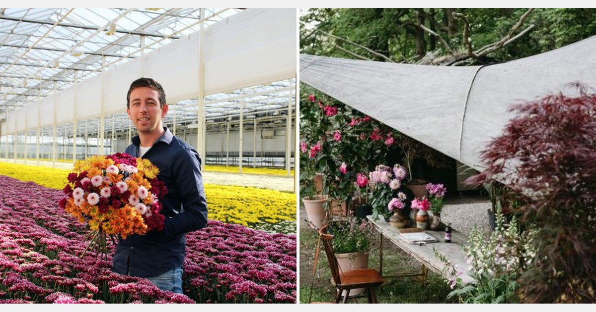 Danny van Uffelen: “De gehele sector heeft baat bij eenduidige ...