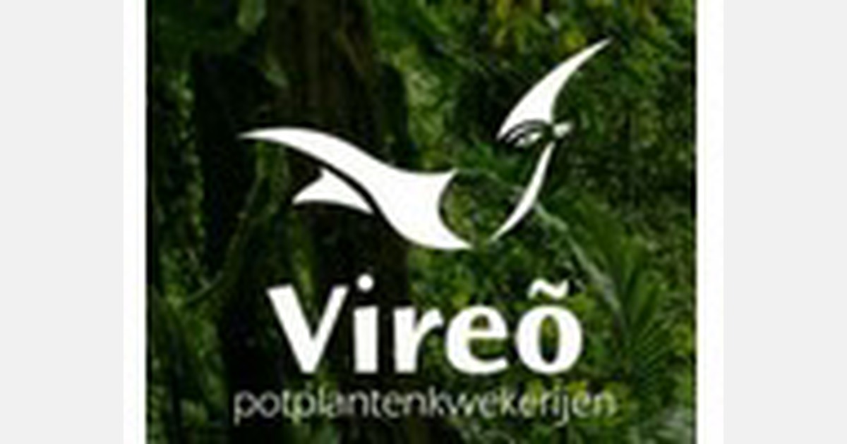 Nieuws en noviteiten te bewonderen op Vireõ Fair