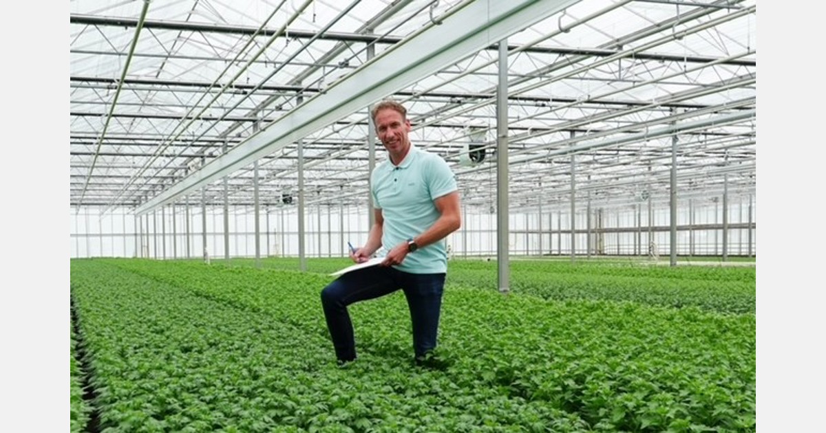 Bas van Mourik nieuwe CEO Van Helvoort Company