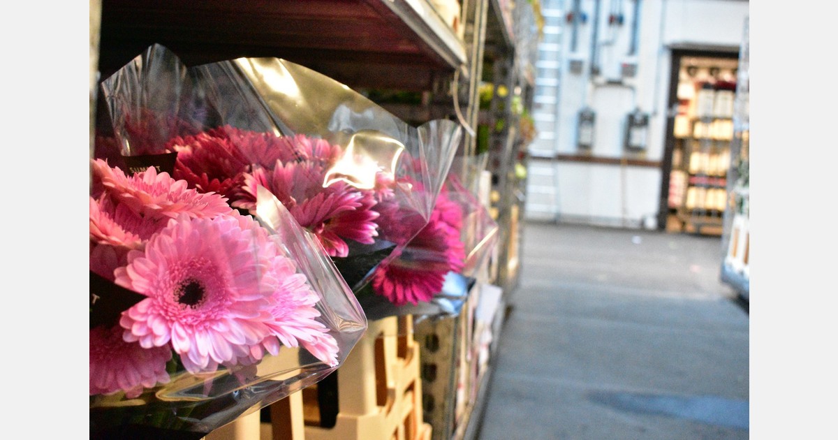 "Van lieverlee zijn wij uitgegroeid tot dé leverancier in kerstdecoratie"