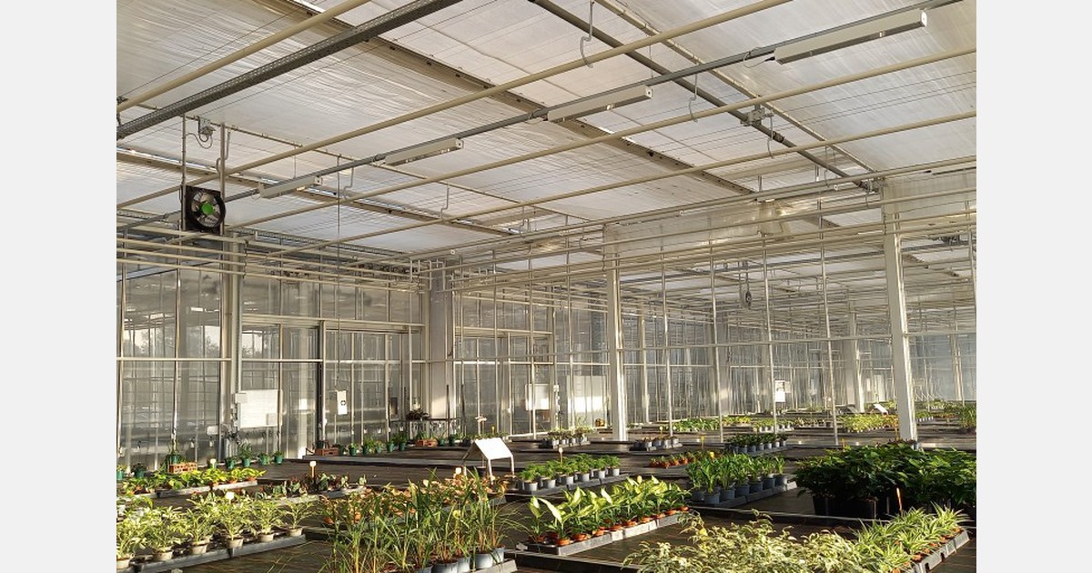 Onderzoek PCS: veelbelovende kansen voor energiebesparing in de sierteelt