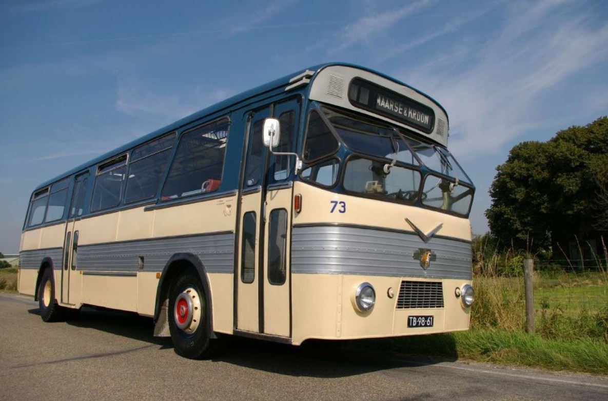 Historische Tuin organiseert Hortensia Bustour langs drie kwekerijen