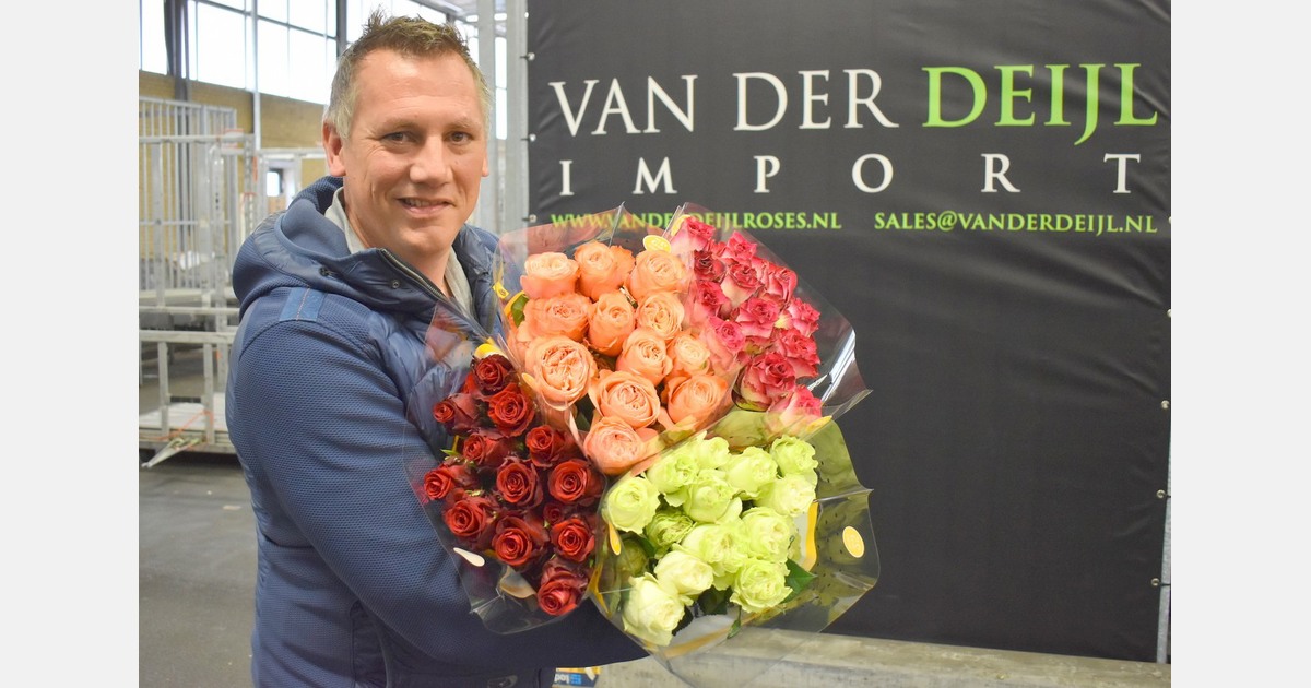 Compleet assortiment rozen en exclusieve zomerbloemen schittert in Cash ...