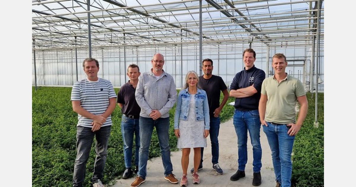 AltaNova Sales splitst op in HD Plants en AltaNova