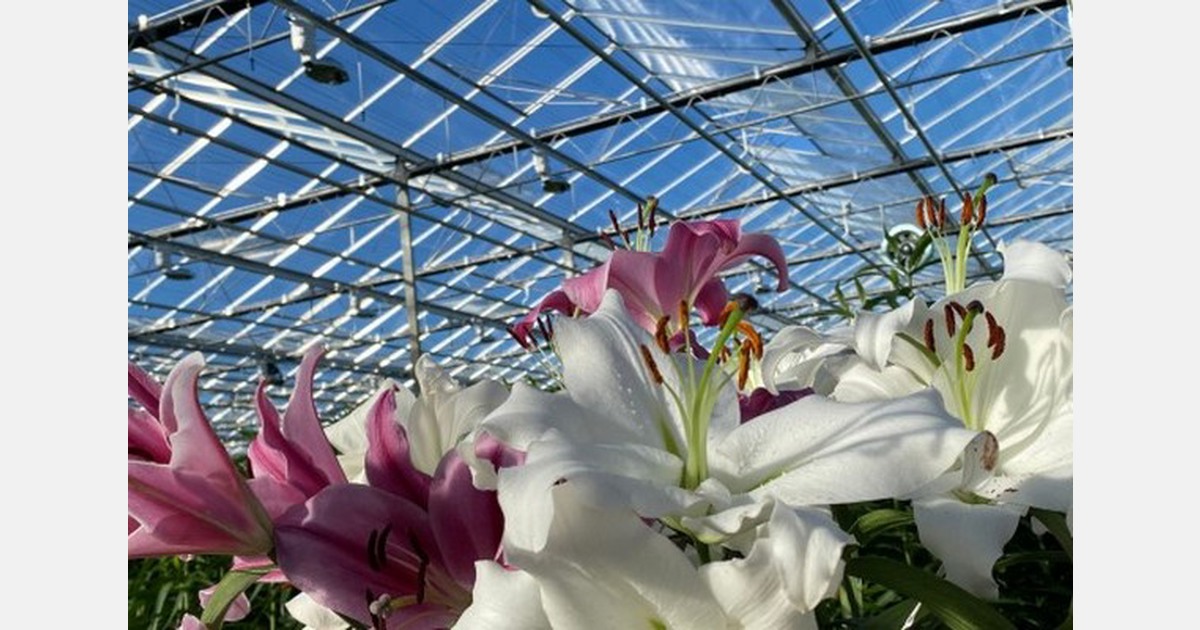 Qualily opent haar deuren tijdens Burendag 2024
