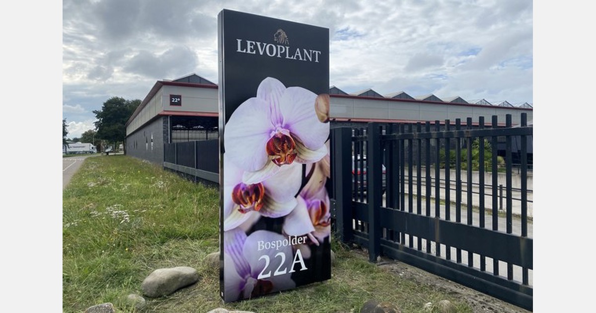 Levoplant