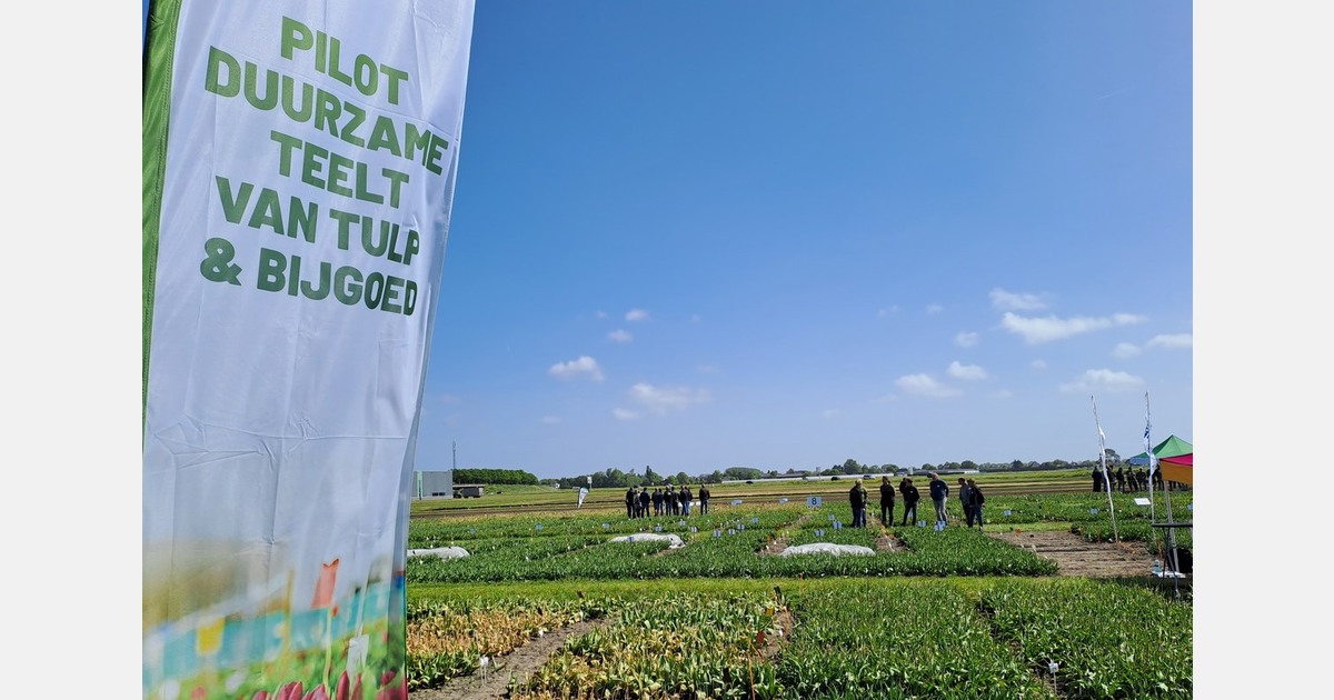 "Weerbaarheid in de praktijk voor een gezonde en duurzame bloembollenteelt"