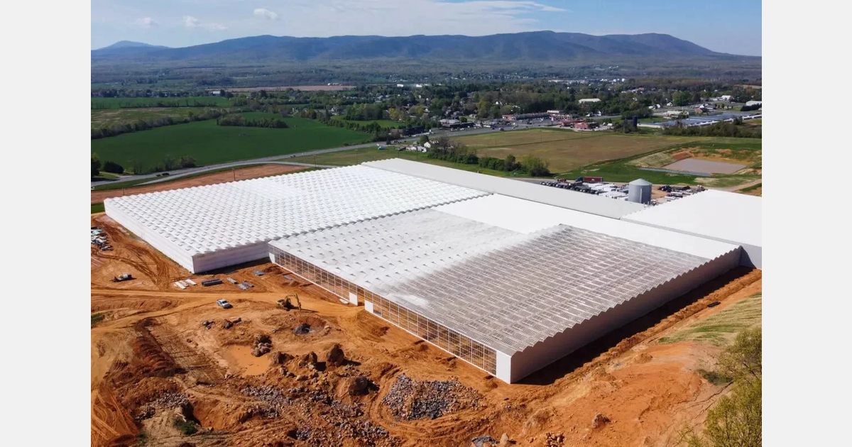 Kas en daglichtloze teelt voor jonge kamerplantenkweker