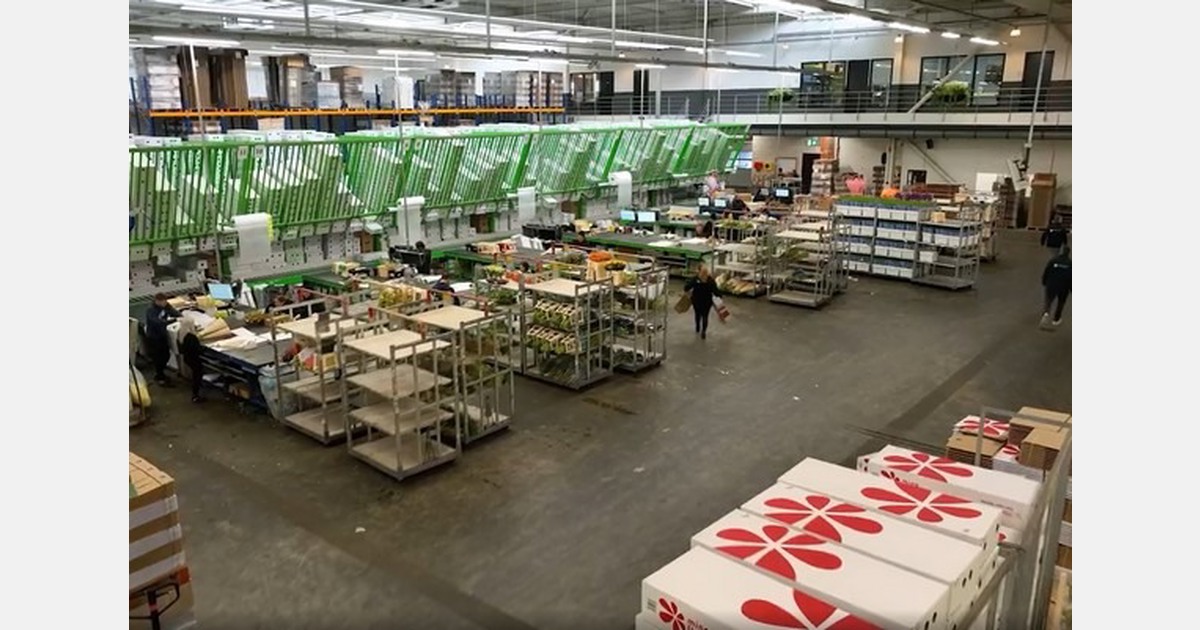 Stratech Logistic x Holex Flower