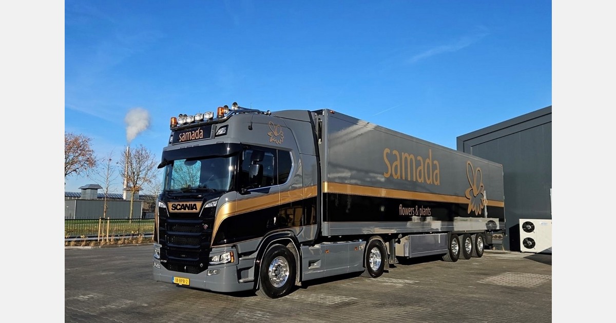 Satter Roses 1 wordt Samada Plants