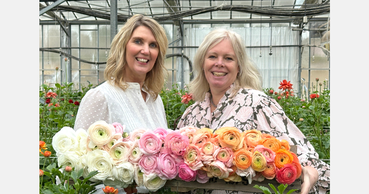 Italiaanse ranonkels en anemonen voor Europese tuinen