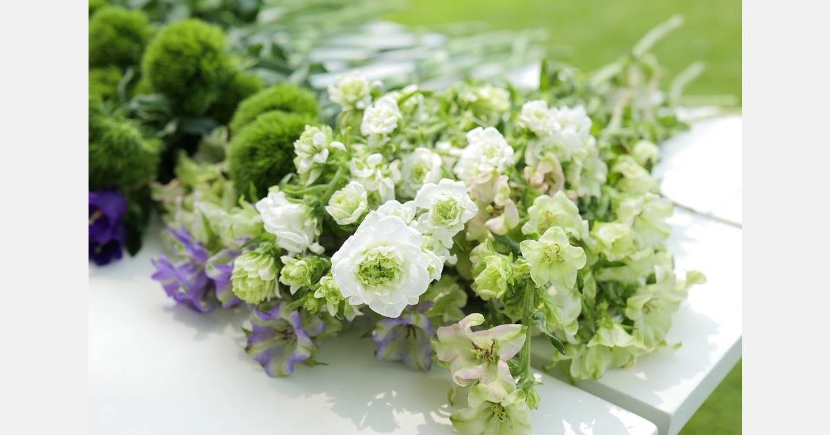 Campanulove-promotieplan 2025-2026 goedgekeurd