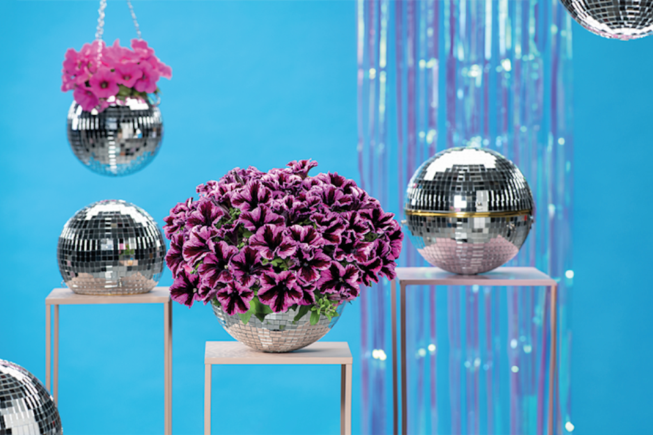 Kleur, innovatie en inspiratie te zien bij Florensis tijdens de ...