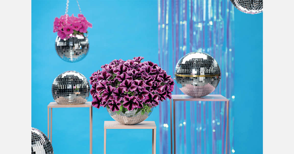 Kleur, innovatie en inspiratie te zien bij Florensis tijdens de ...