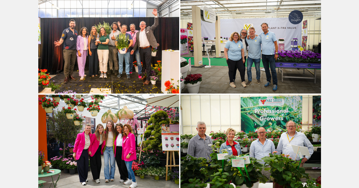 Digitalis purpurea Hanabee F1 White wint FleuroStar Award 2025-26