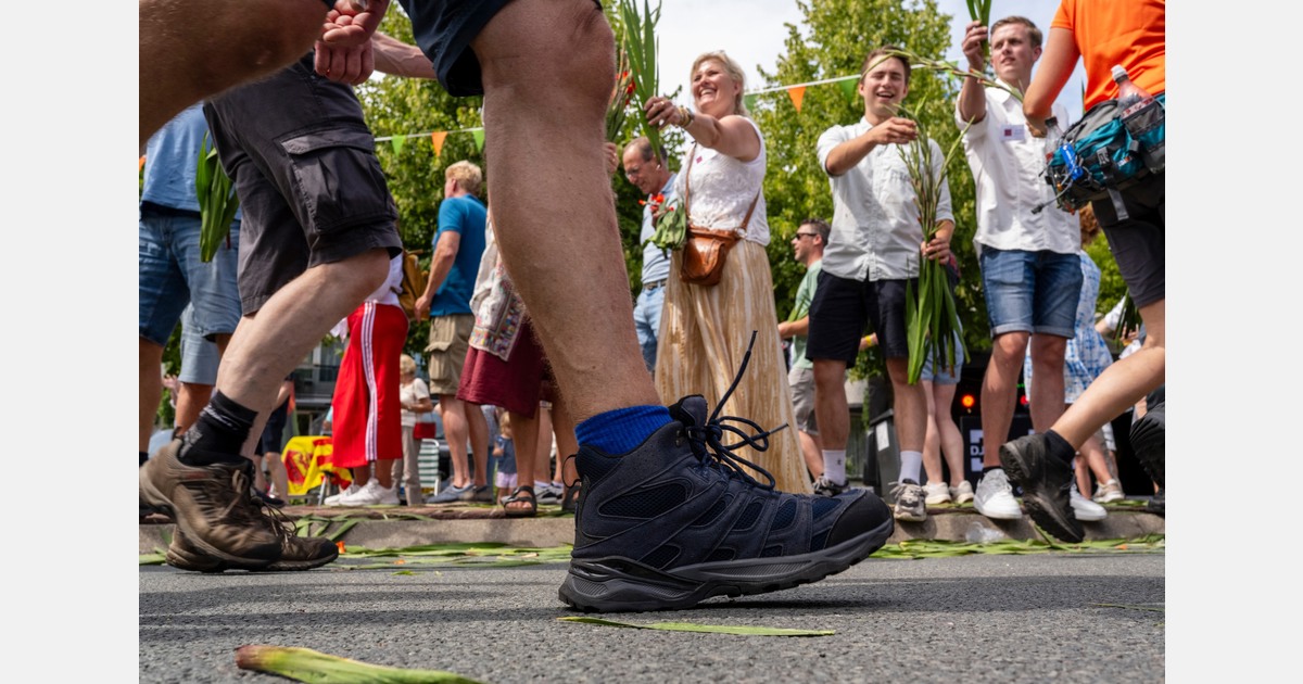 15.000 gladiolen uitgedeeld tijdens Nijmeegse Vierdaagse