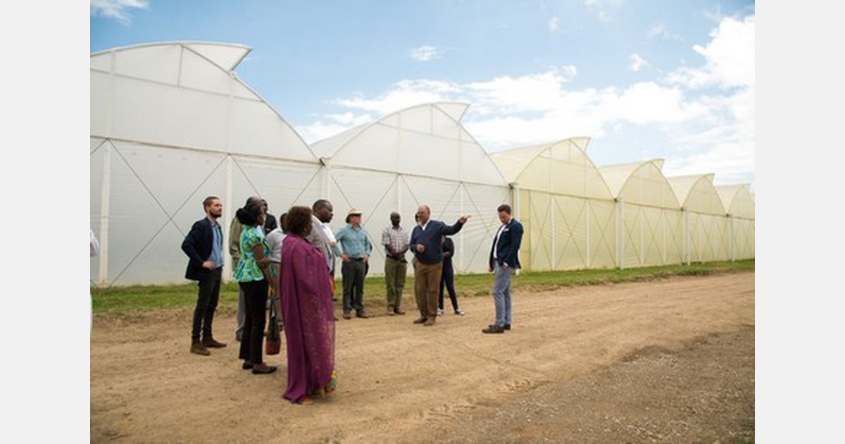 Kenia: Rift Valley Roses installeert 75 kWp zonnesysteem