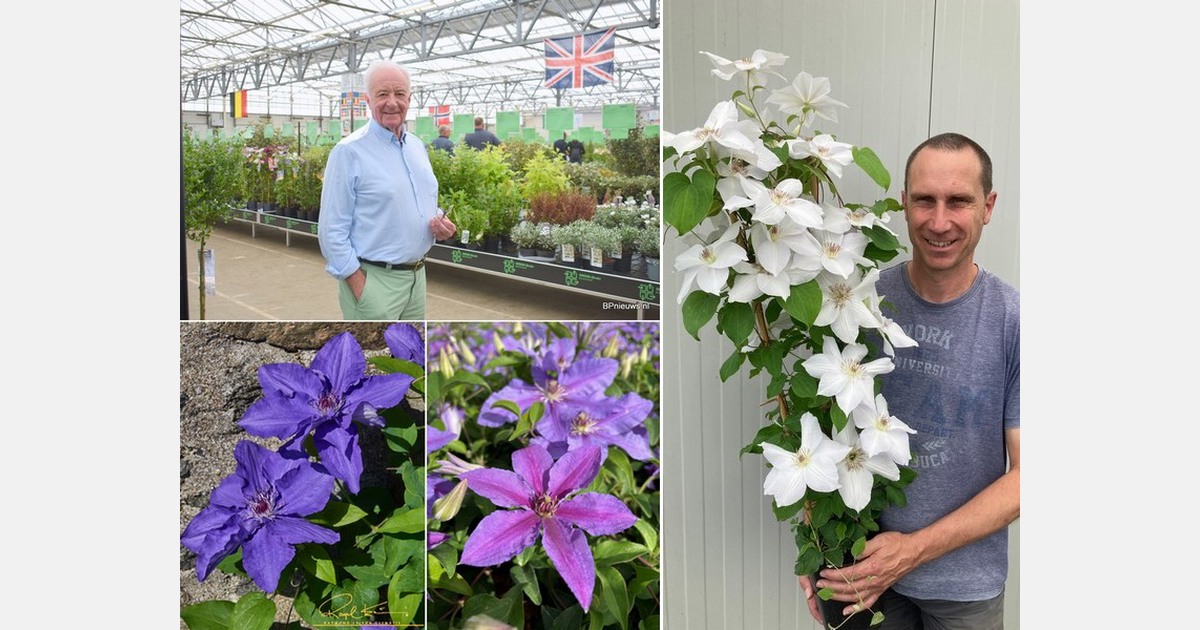 Raymond Evison presenteert eerste clematis-varieteiten uit eigen ...