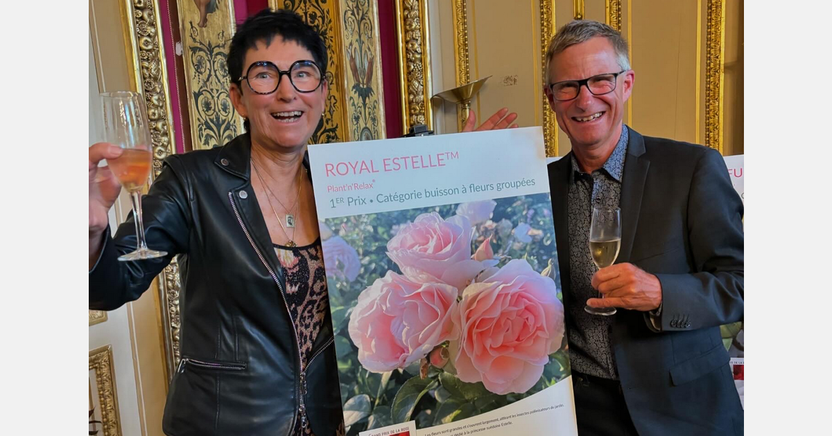 Roses Forever in de prijzen op internationale rozenwedstrijden in ...