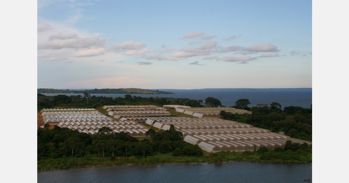 Selecta One neemt Wagagai over in Oeganda