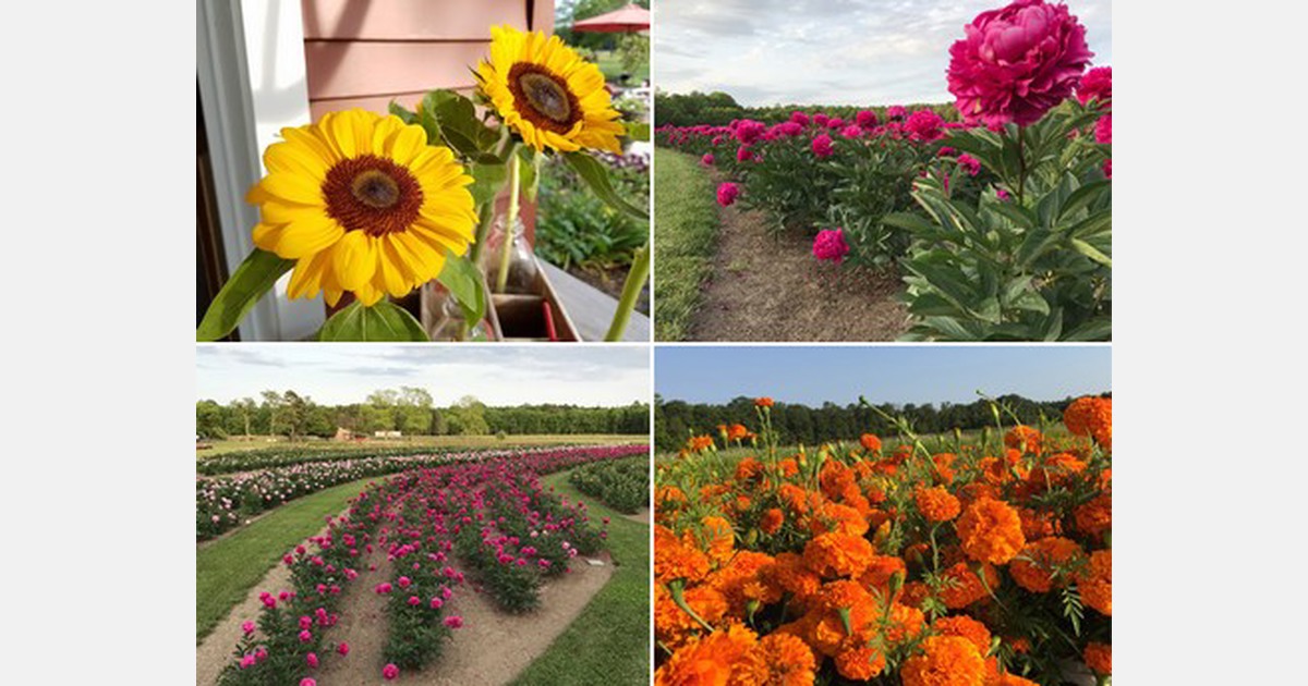 Van niche naar ultra-niche