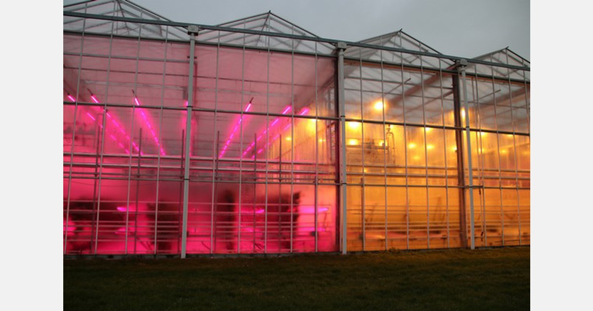 LichtEvent 2024 in teken van LED en dynamisch belichten