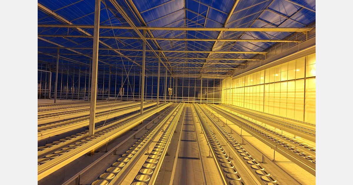 Groentekas omgebouwd tot rozenkas