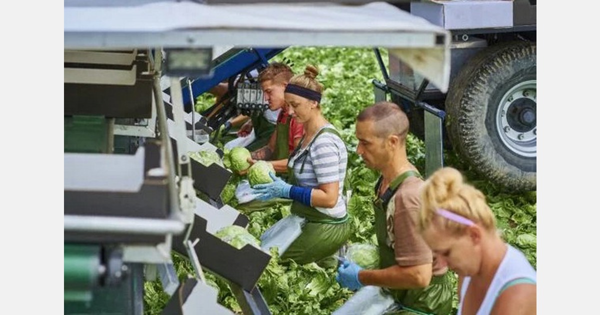 "Vast huurcontract geen werkbare oplossing voor seizoensarbeid"