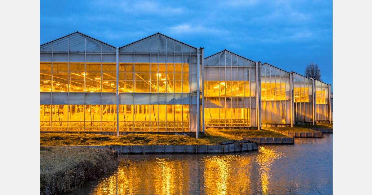 Inschrijving LichtEvent 2025 geopend