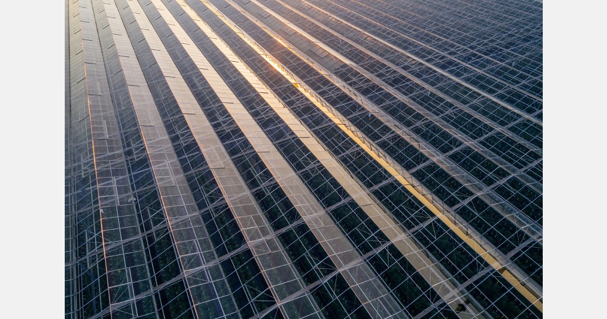 Een batterij die echt voor je werkt? "Het verschil zit in de sturing"