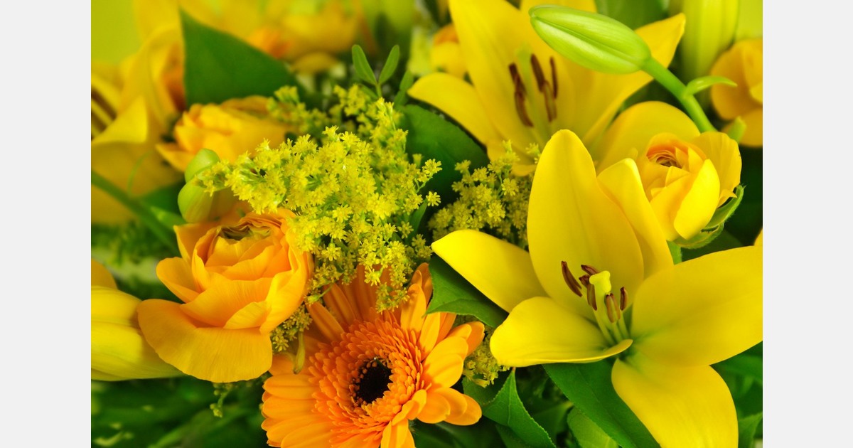 Dorpswandeling door Aalsmeer en bloemen- en plantenveiling in museum ...