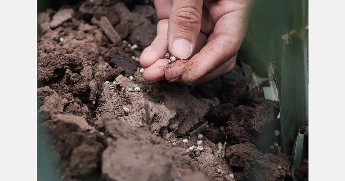 Yara Tertre sluit ammoniakfabriek en verschuift focus naar hoogwaardige ...
